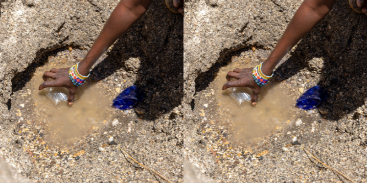 Drought Crisis In Turkana Forces Families To Boil Wild Fruit For Survival