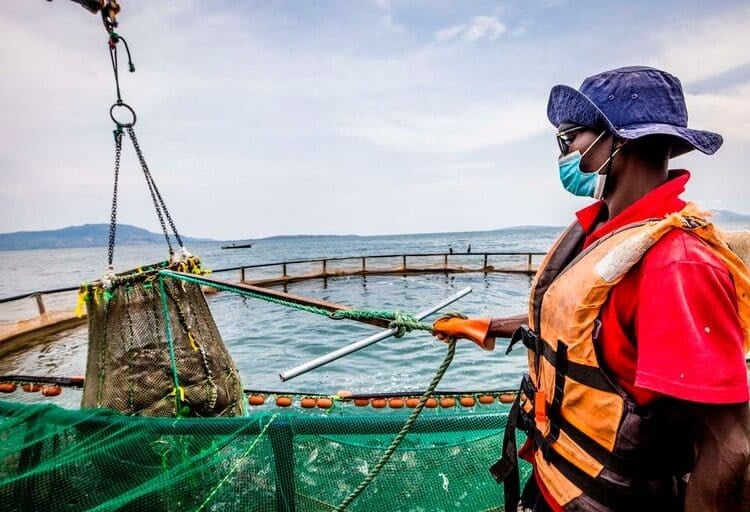 Joseph Rehmann; Billionaire Behind Victory Farms In Kenya