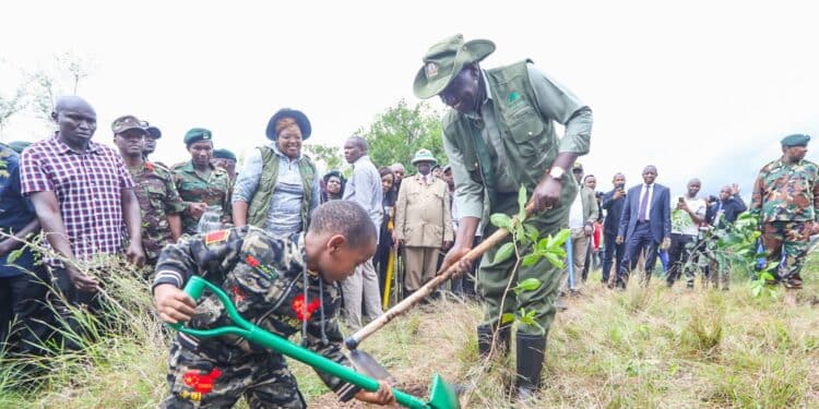 Turkana Man Mocked For Planting Trees Shares Progress