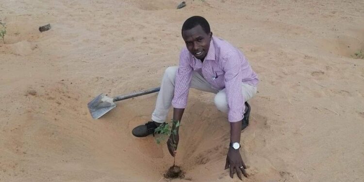 Turkana Man Mocked For Planting Trees Shares Progress