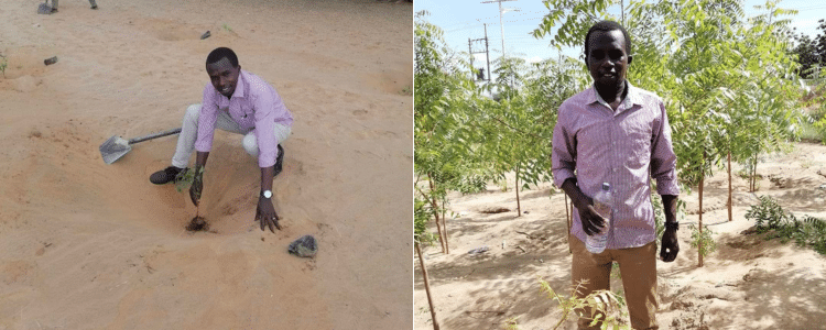 Turkana Man Mocked For Planting Trees Shares Progress