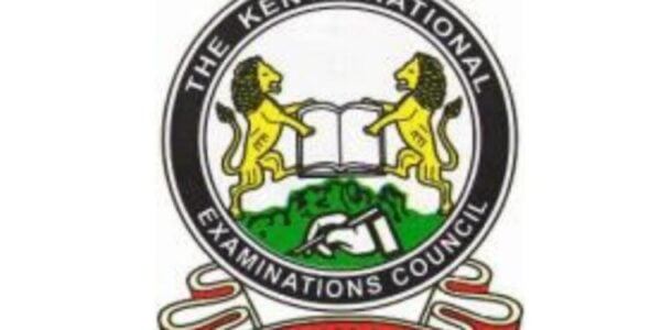 Step-by-Step Process Of Verifying KNEC Academic Documents