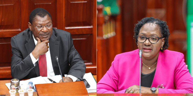 Why MPs Rejected Nomination Of Stella Soi As CS