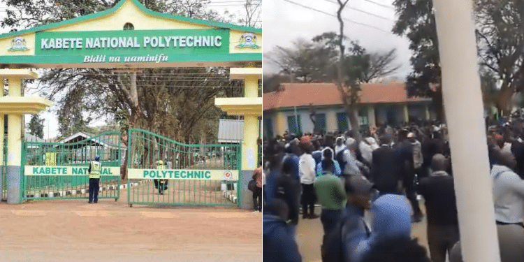 Kabete Polytechnic Students Eject Principal Over Fees