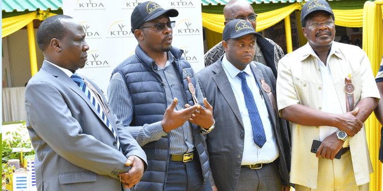 KTDA To Deduct Fertiliser Money From Farmers' Bonus