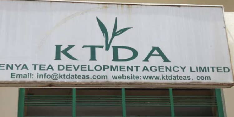 KTDA Announces When Tea Farmers Will Receive Refunds