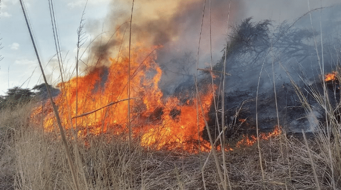KWS Responds To Fire Incident At Lake Nakuru National Park