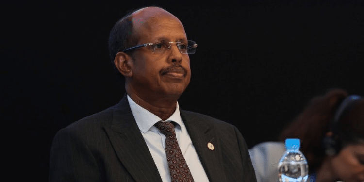 Djibouti Candidate Mahmoud Ali Youssouf Wins AUC Elections