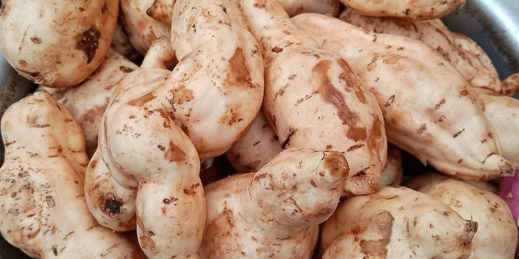 Baraton University Students Running Sweet Potato Business