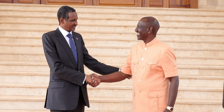 Mohamed Dagalo: Education, Career And Family Of RSF Leader