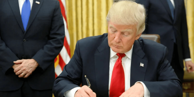 Trump Labels Antifa Terrorist Group, Moves To Arrest Those Filming ICE ...