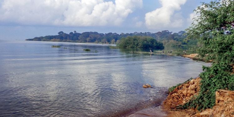Lake Victoria City Plan To Advance With AfDB Support