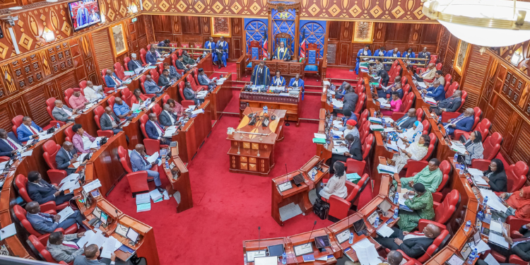 UDA Senator Tabitha Mutinda Denies Receiving Bribe To Impeach Gachagua