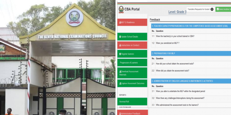 KNEC Grade 3 MLP Portal: Registration, And Assessment Tools