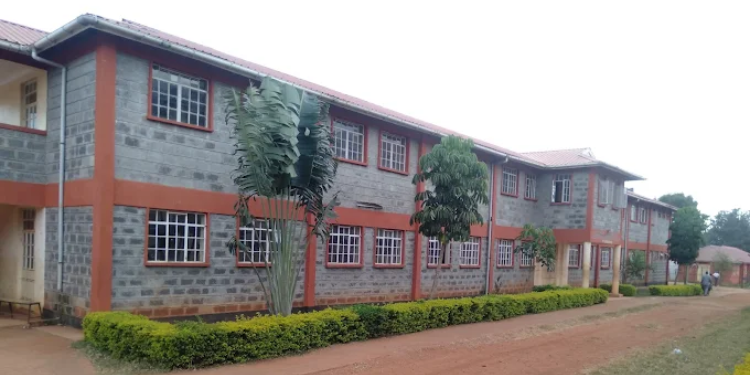 St. Joseph's Boys High School Kitale History, Fees, KCSE Performance ...
