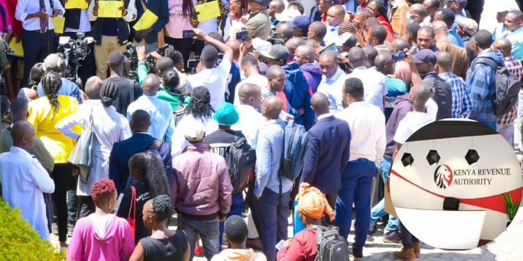 How To Apply For KRA 2026 Attachments And Pupillage Program